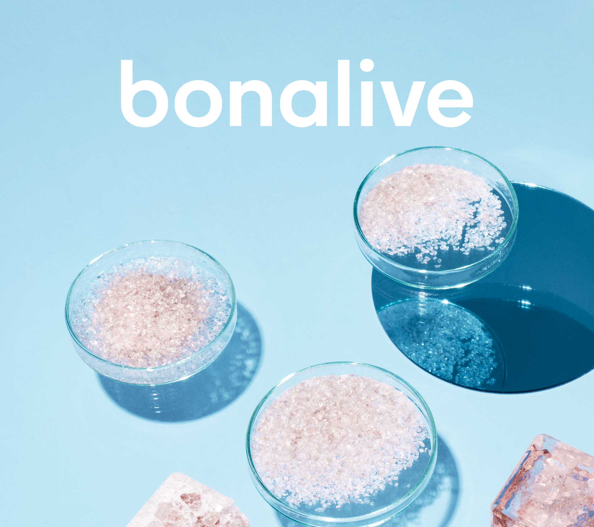 BonAlive_banner_20.9.2018 – BVOU Netzwerk